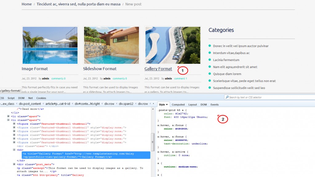 Cherryframework 3 How To Add Custom Classes To The Shortcodes And Assign Custom Css Rules To